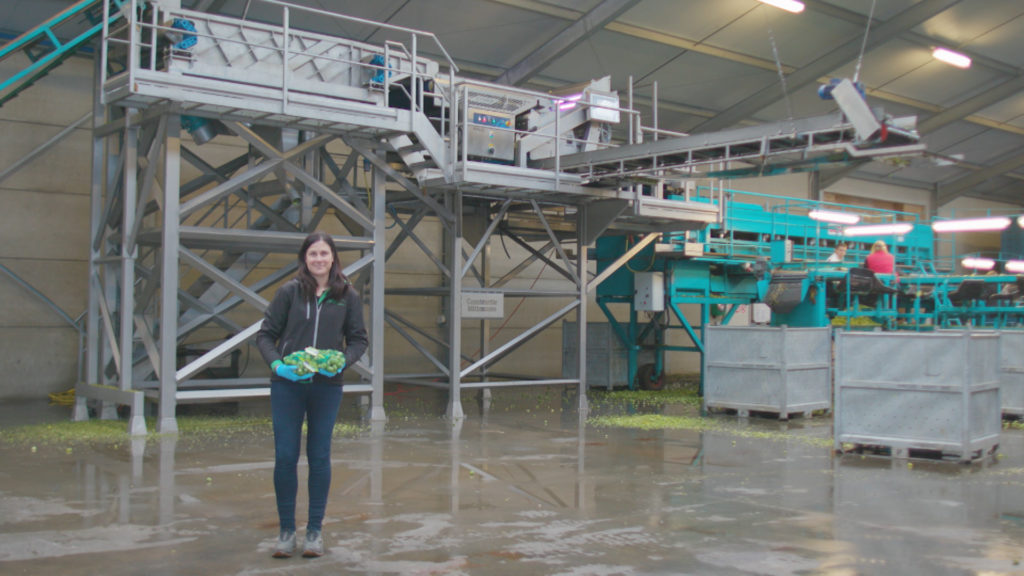 Communiqué de presse Agence C3M pour TOMRA | AGROALIMENTAIRE - QUALITE ...